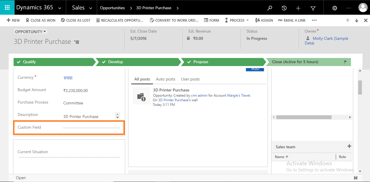 Microsoft Dynamics CRM: Bulk Update Functionality