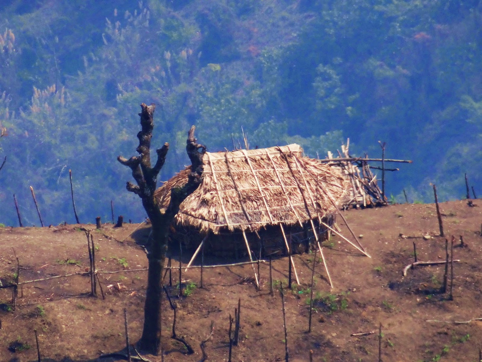 THE WANCHO: ENCHANTED GLIMPSE OF THE WANCHO INHABITED LONGDING DISTRICT ...