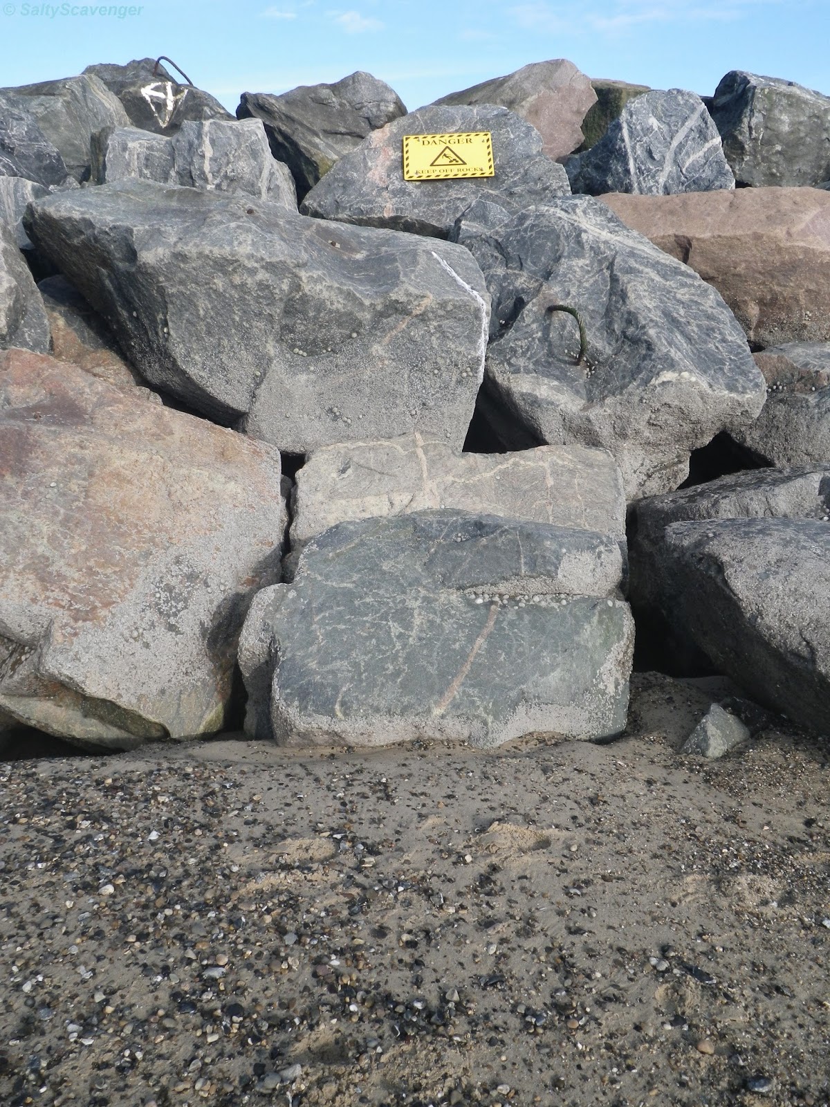 Rock Pooling: May 2014