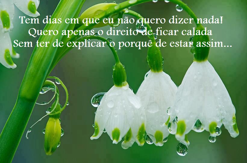 Muito mais é o que nos une....: Há dias assim...