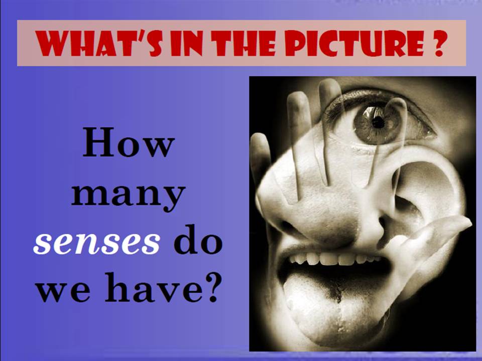 Science is FUN!: Form 2 ( Chapter 1 The World Through Our Senses )