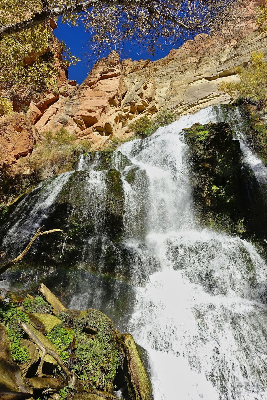 Saumya's Hiking Trips: Grand Canyon (Thunder River/Deer Creek Trail ...