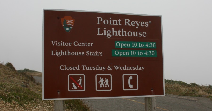 Embrace the Outdoors: Point Reyes Lighthouse