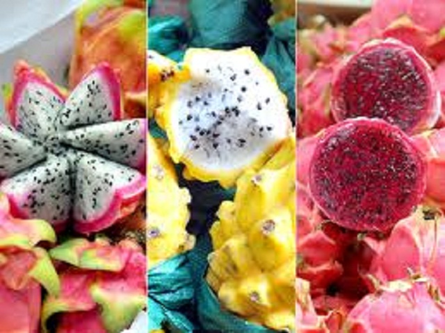 Pitaya e seus benefícios ~ Pitaias