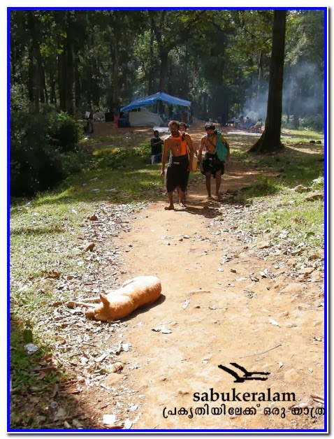 പ്രകൃതിയിലേക്ക് ഒരു യാത്ര (a travel towards NATURE): PULLUMEDU a unique ...