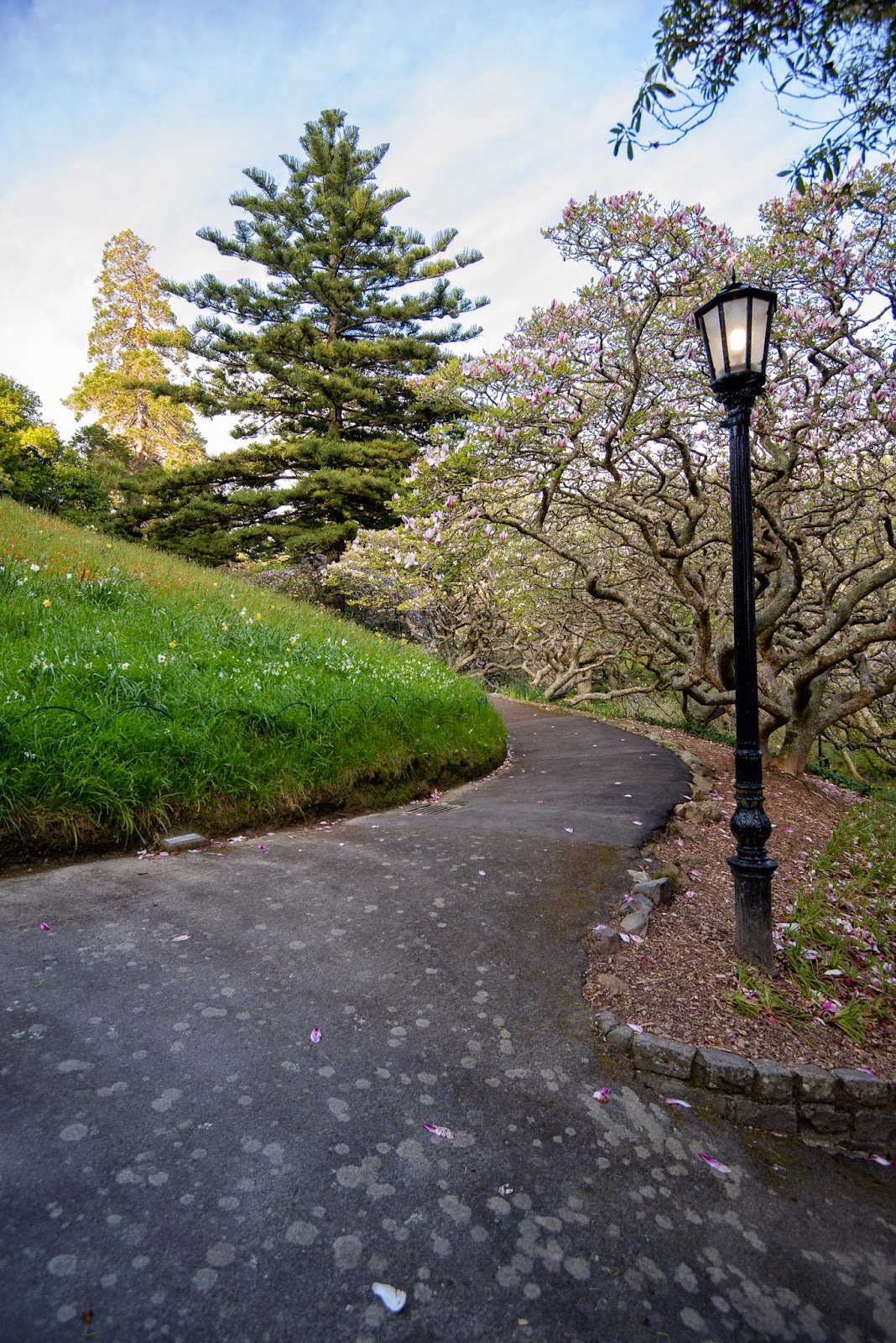 Spring comes to Wellington {landscape photography} | the adventures of MNMs
