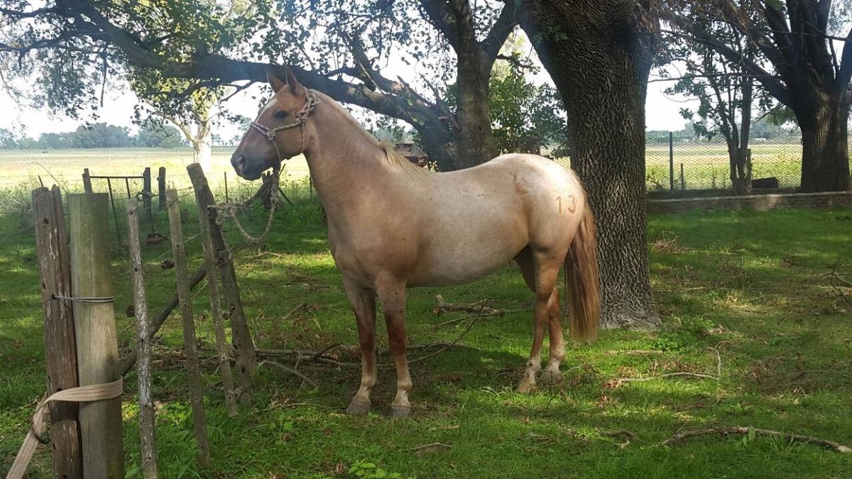RINCÓN DE LOS NIÑOS: BELGRANO Y SU BANDERA