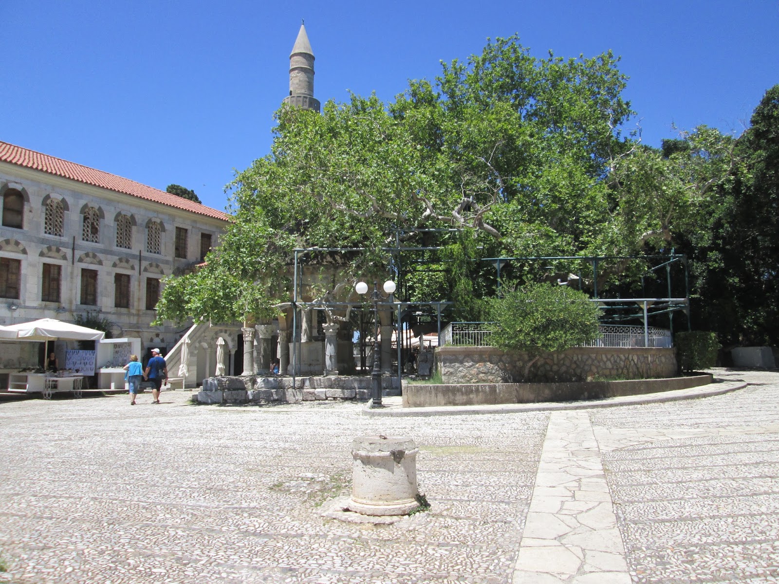 Reise auf Kos ( Griechenland ): Tree of Hippokrates