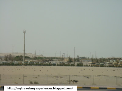 My Travels,My Experiences: Visit to Amghara:Kuwait's favorite scrap yard.