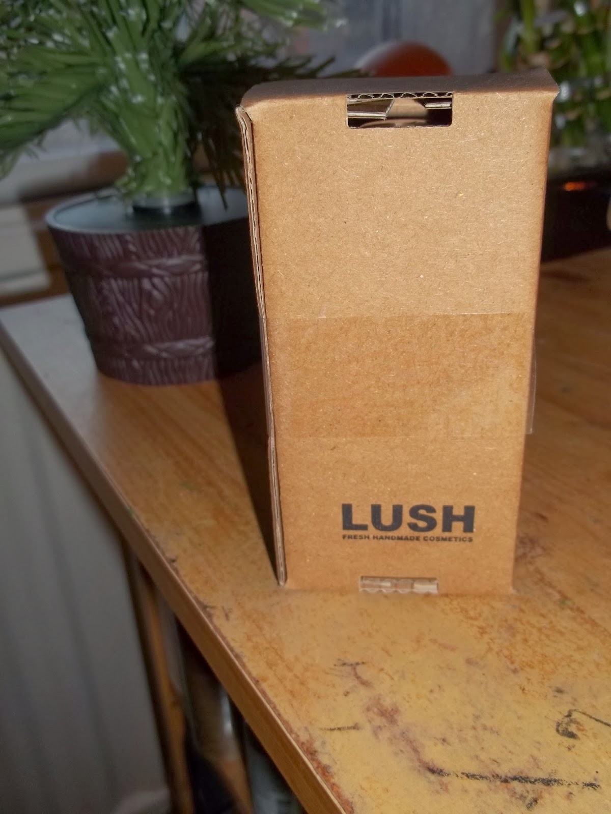 Molly Laura Makeup: REVIEW: Lush Snow Fairy Perfume!
