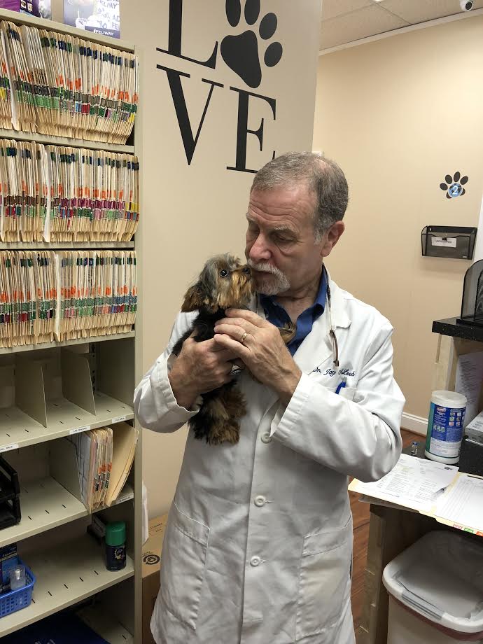 Bensalem Veterinary Hospital: Meet Dr. Jay Leeb, V.M.D From Our ...