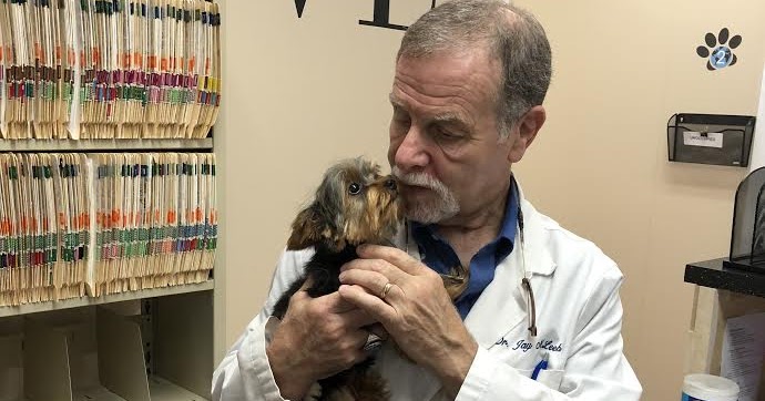 Bensalem Veterinary Hospital: Meet Dr. Jay Leeb, V.M.D From Our ...