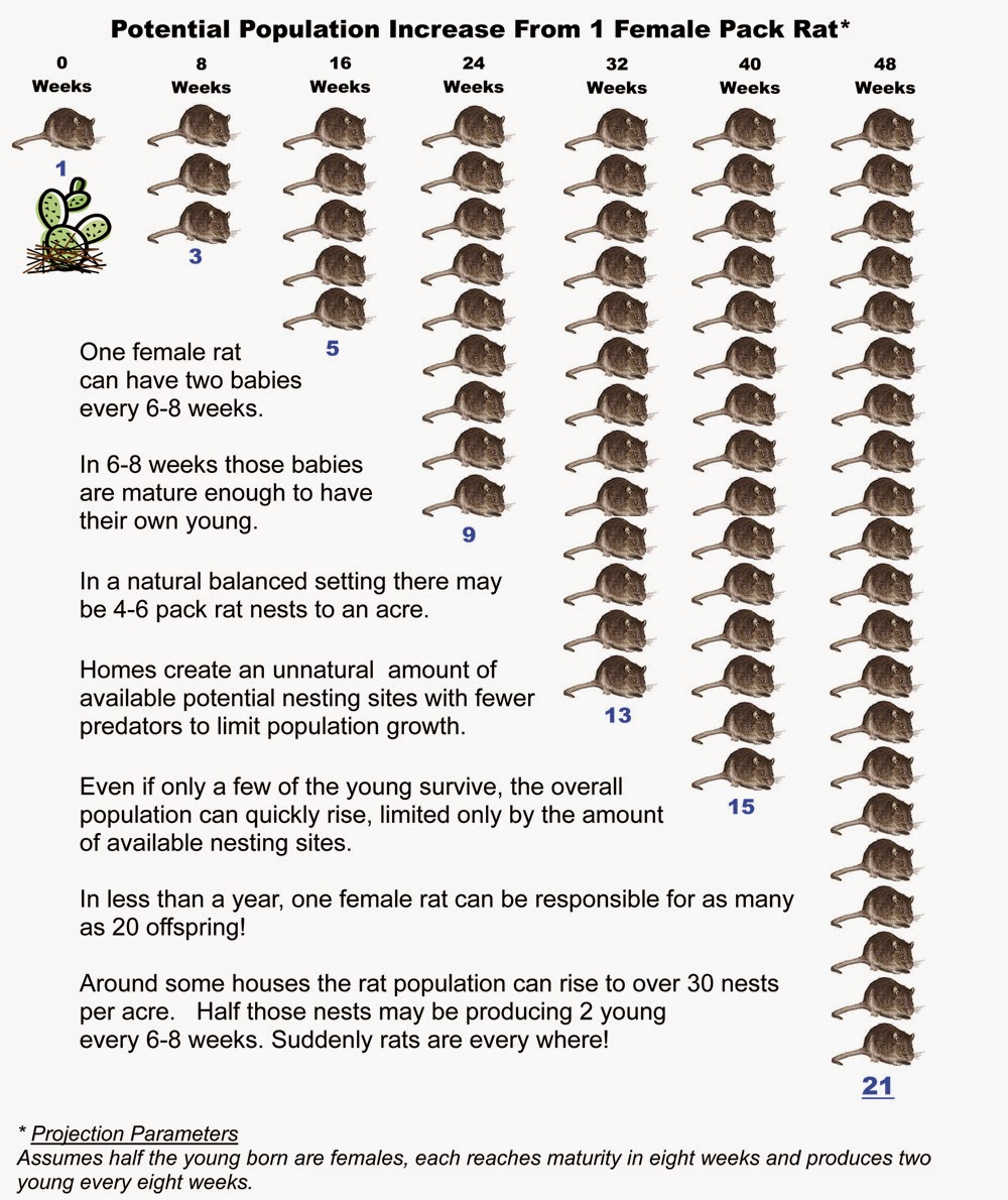 Poultry Management.: Control Commensally Rodents in Poultry Houses