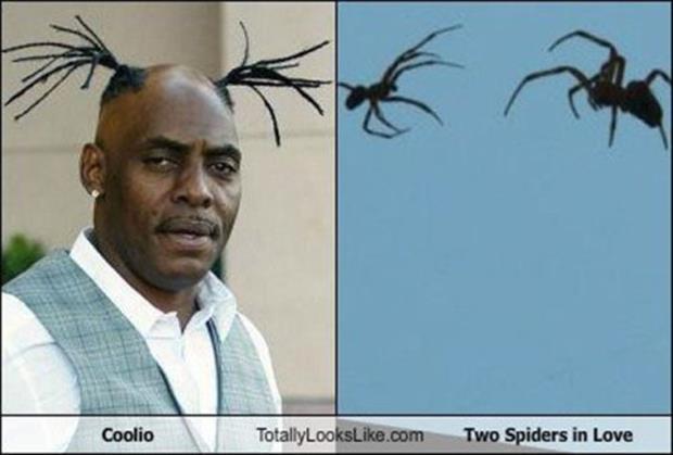 Coolio Hair : r/funny