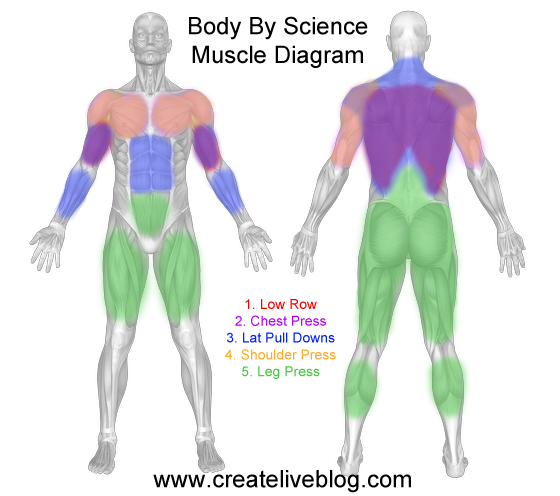 Createlive: How To Get A Full Body Workout In 12 Minutes With Body By ...