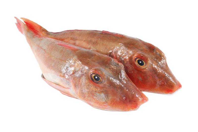 Comment bien choisir son poisson