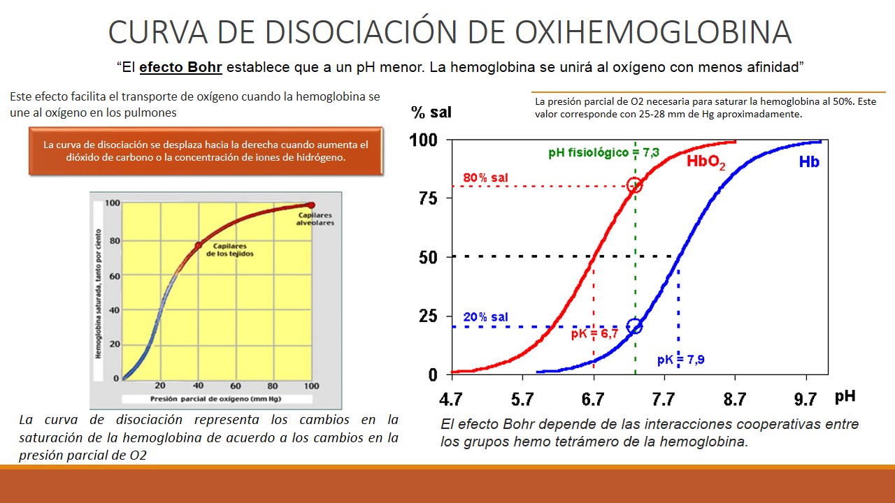 Hemoglobina Acima Do Normal - FDPLEARN
