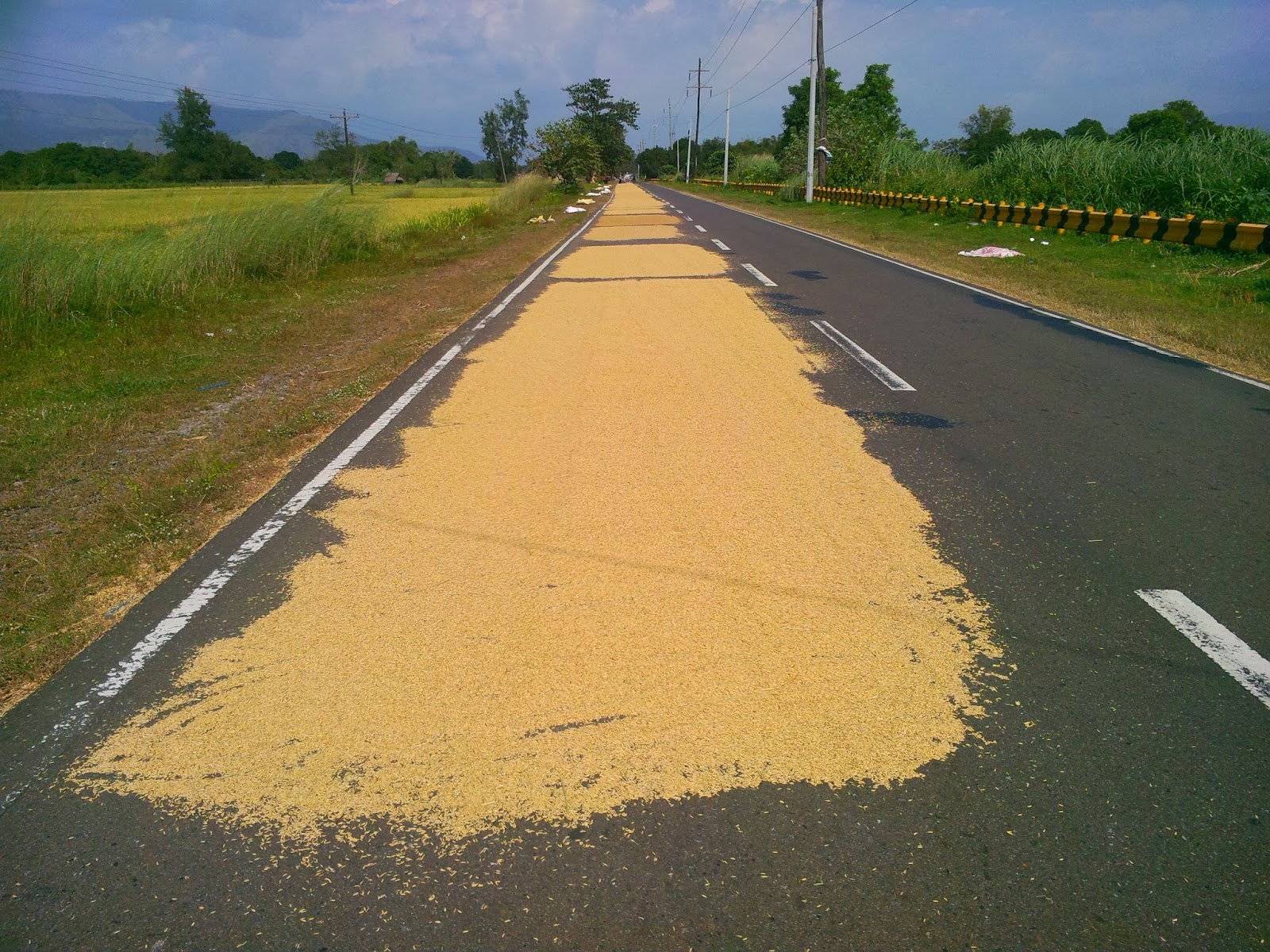 Sister Danai Sirrine: October 26, 2013 Photos from Elder & Sister ...