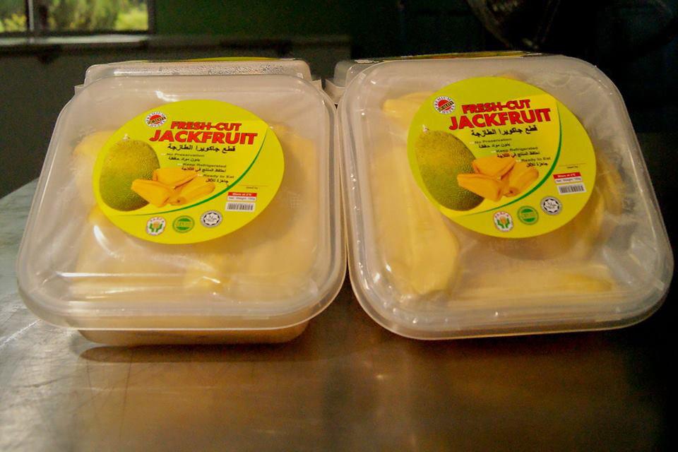 APAG AGRI PRODUCE: JACKFRUIT HONEY J33 VARIETY
