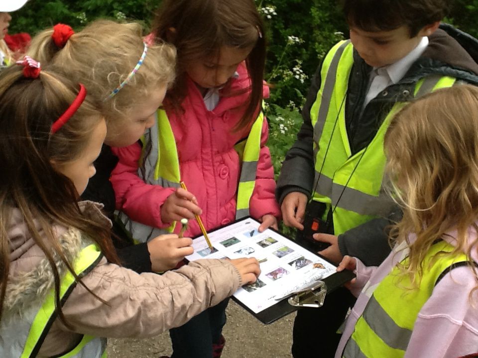 Wheelock Primary School: Nature Detectives - Wheelock Rail Trail