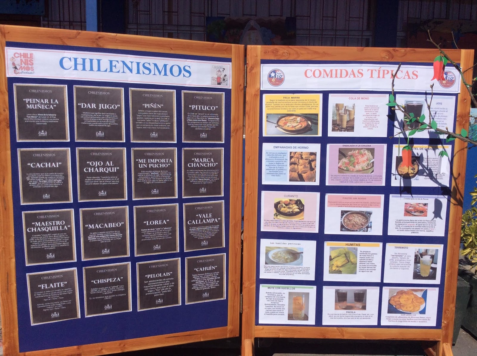 CRA MEDIA FUNDACIÓN EDUCACIONAL LICEO SAN JOSÉ DE REQUÍNOA: PANELES ...