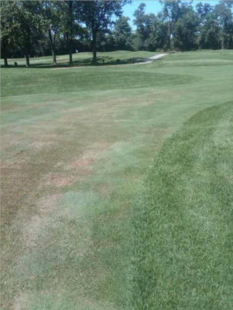 Northmoor Country Club Golf Course Operations: Bug Spray, Sub Air ...