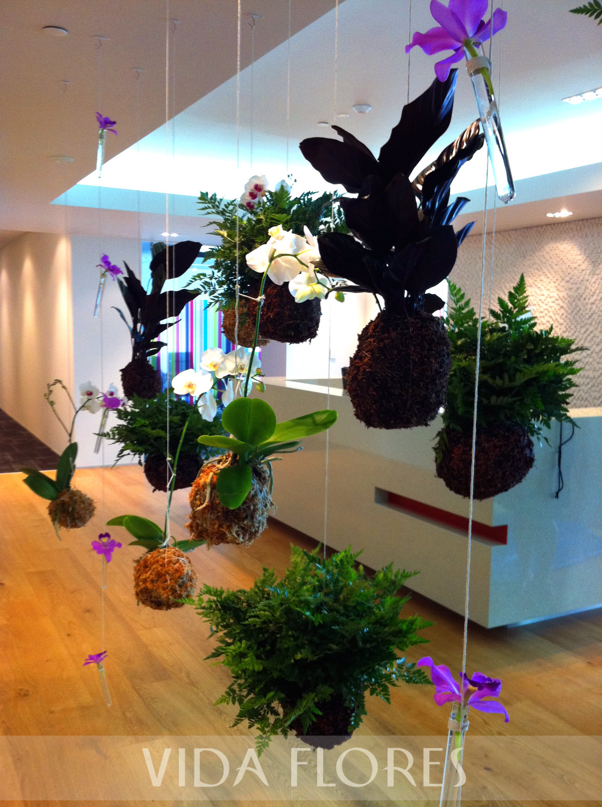 Vida Flores: String Garden