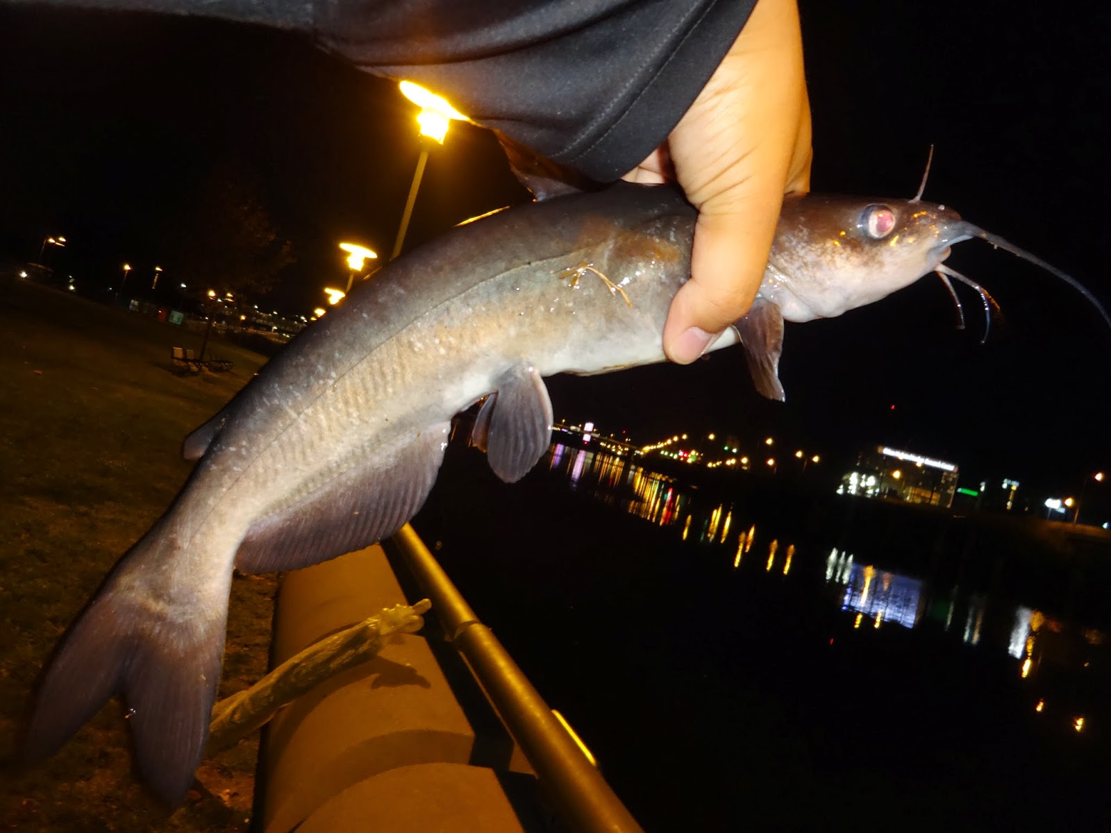 Extreme Philly Fishing: September Fishing Sessions (Last Update: COMPLETE)