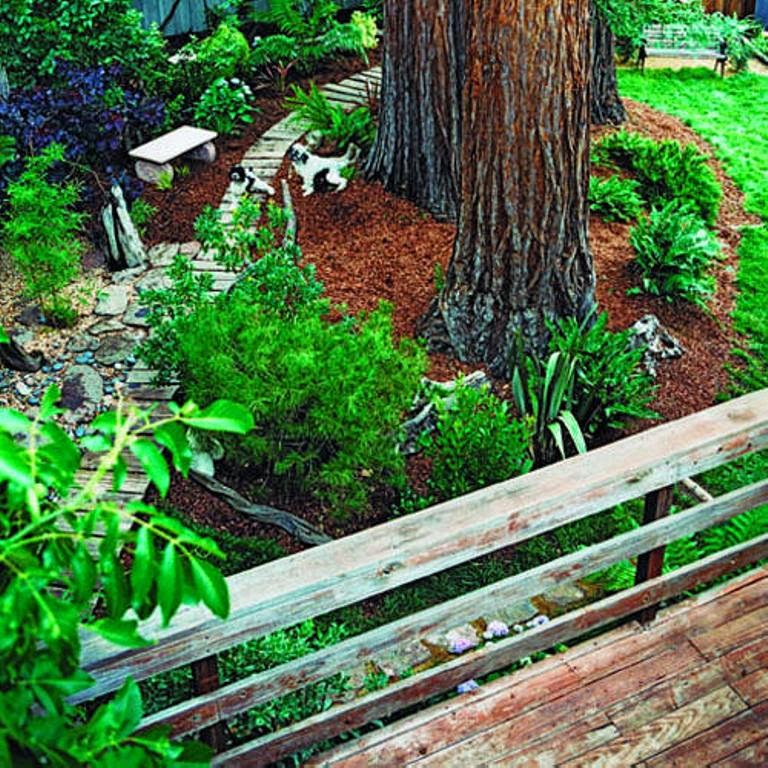 Landscaping Ideas for Small Yards with Dogs - Home Landscape Designs