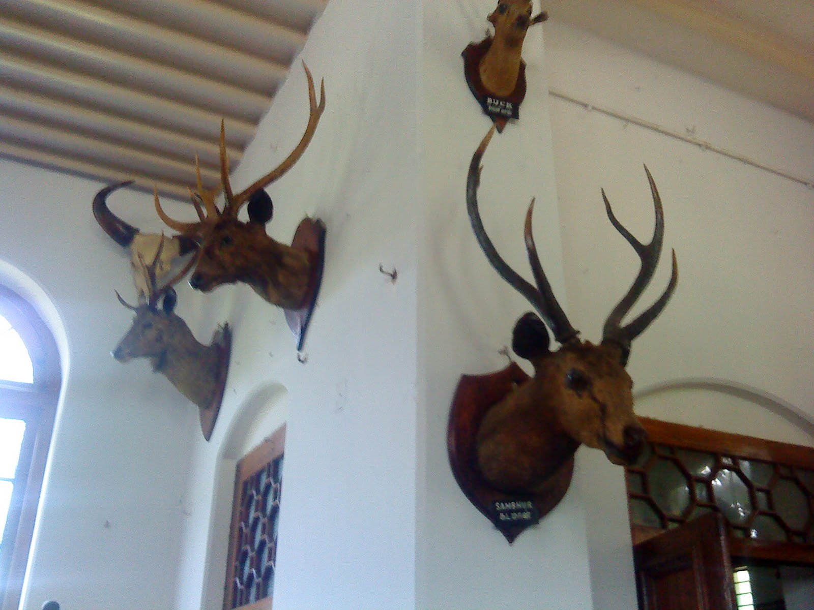 Coimbatore: GASS Forrest Museum