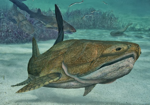 The Green Eye : Η σημαντικότερη ανακάλυψη στην παλαιοντολογία των ...