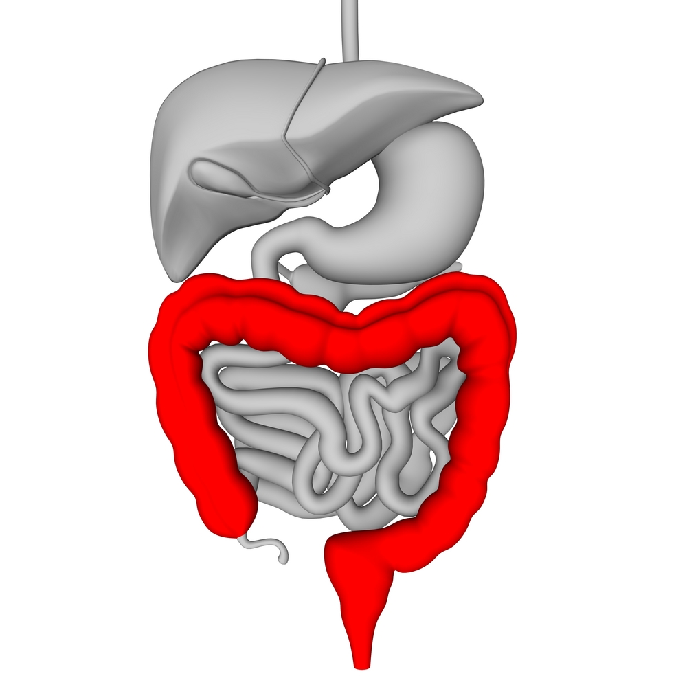 Colon Cancer Treatment: February 2013
