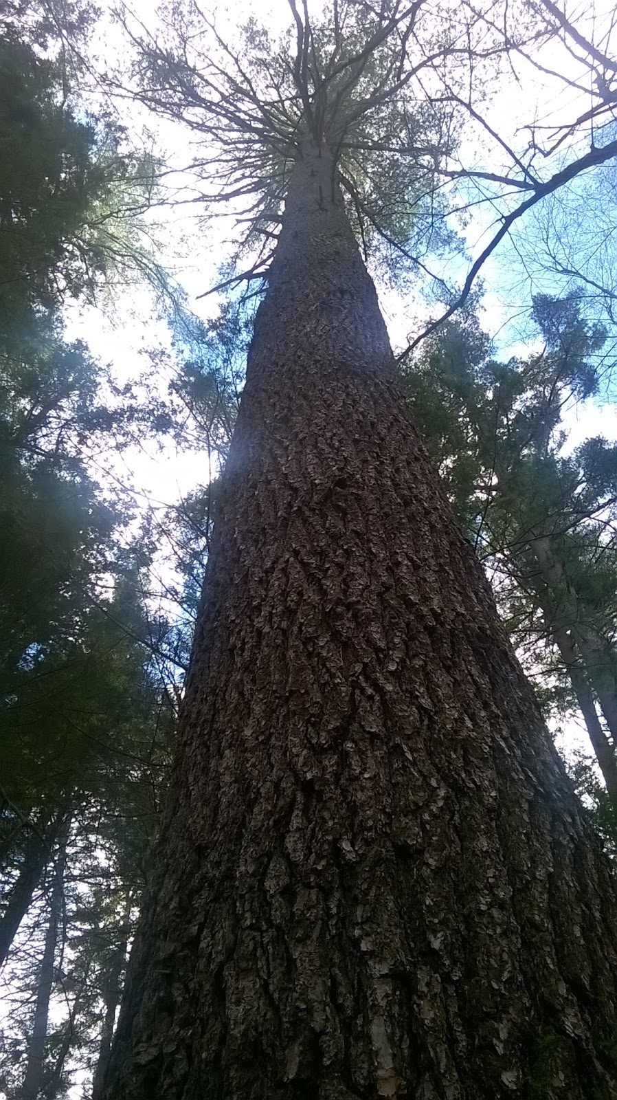 PMIACW: October 2017