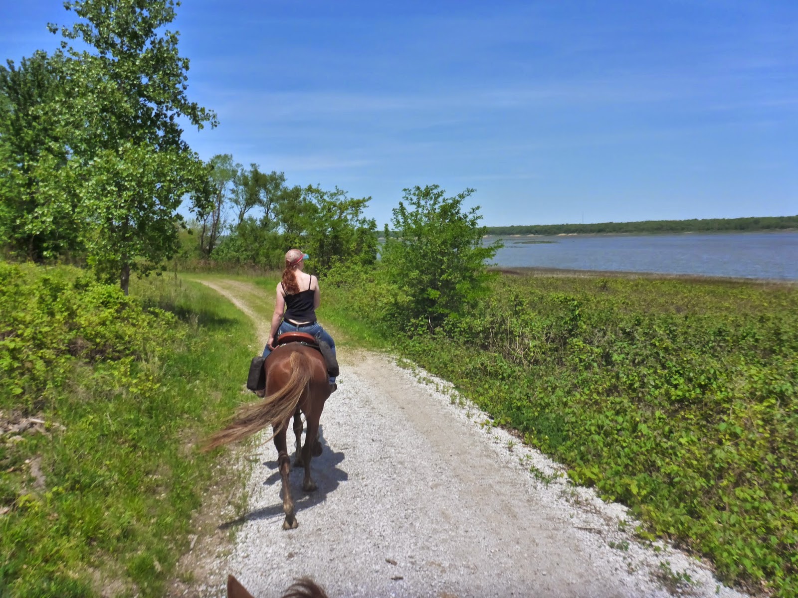 Hitting the Trails By Horseback: Jester Park Equestrian Center