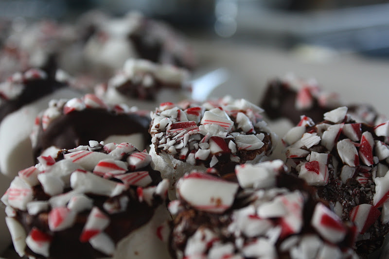 Skip to the Lue: homemade hot chocolate, and peppermint mallow's