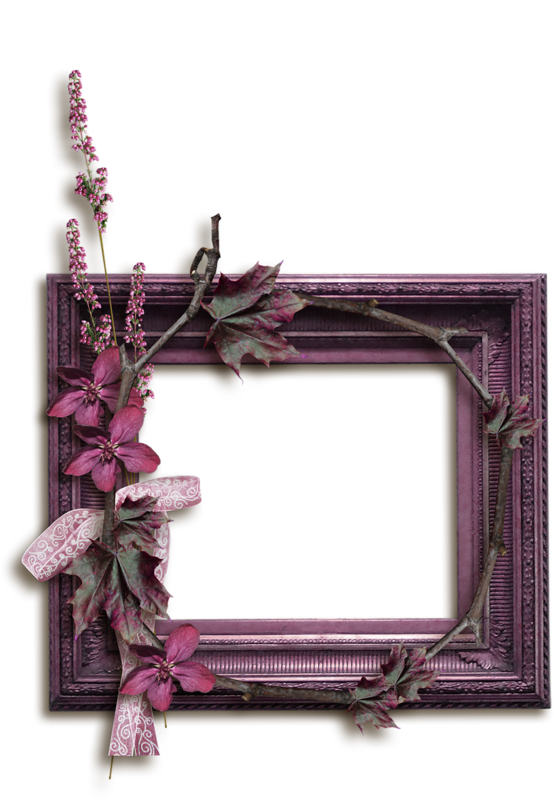 ForgetMeNot: Cluster frames