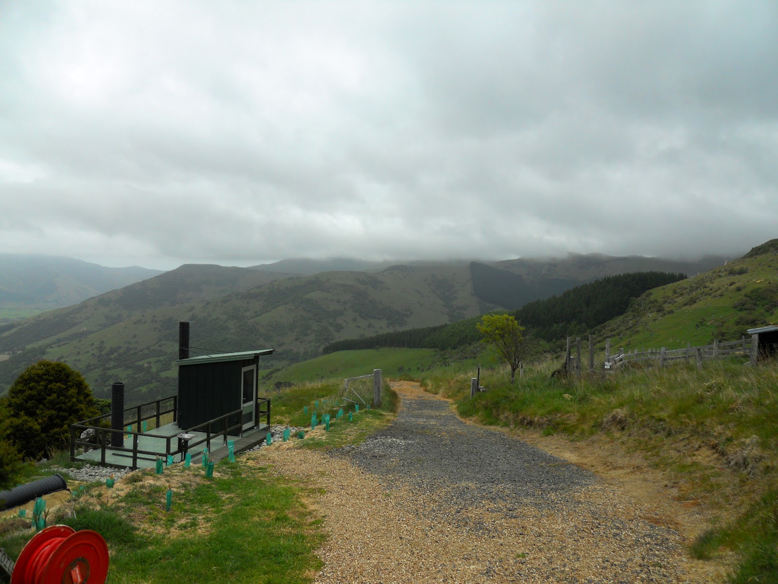 Tramping in the New Zealand backcountry: NZ Bush Adventures: Rod Donald ...