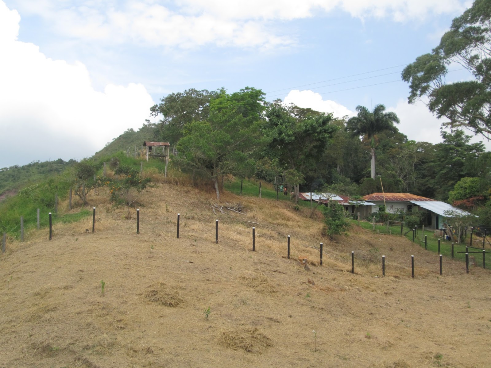 Chaguani Vive El Sentimiento: MIRADOR DEL BOQUERON