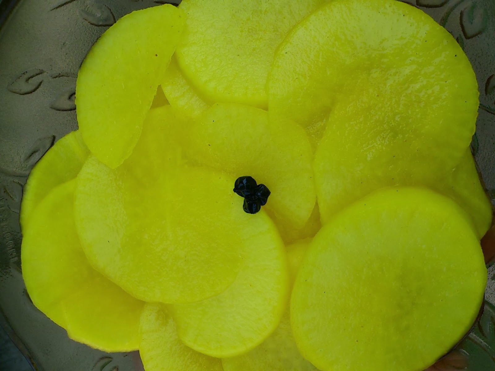 Ri Hyo Asuka: Danmooji Recipe (Lobak Jeruk Manis Korea ~ Korean Sweet ...