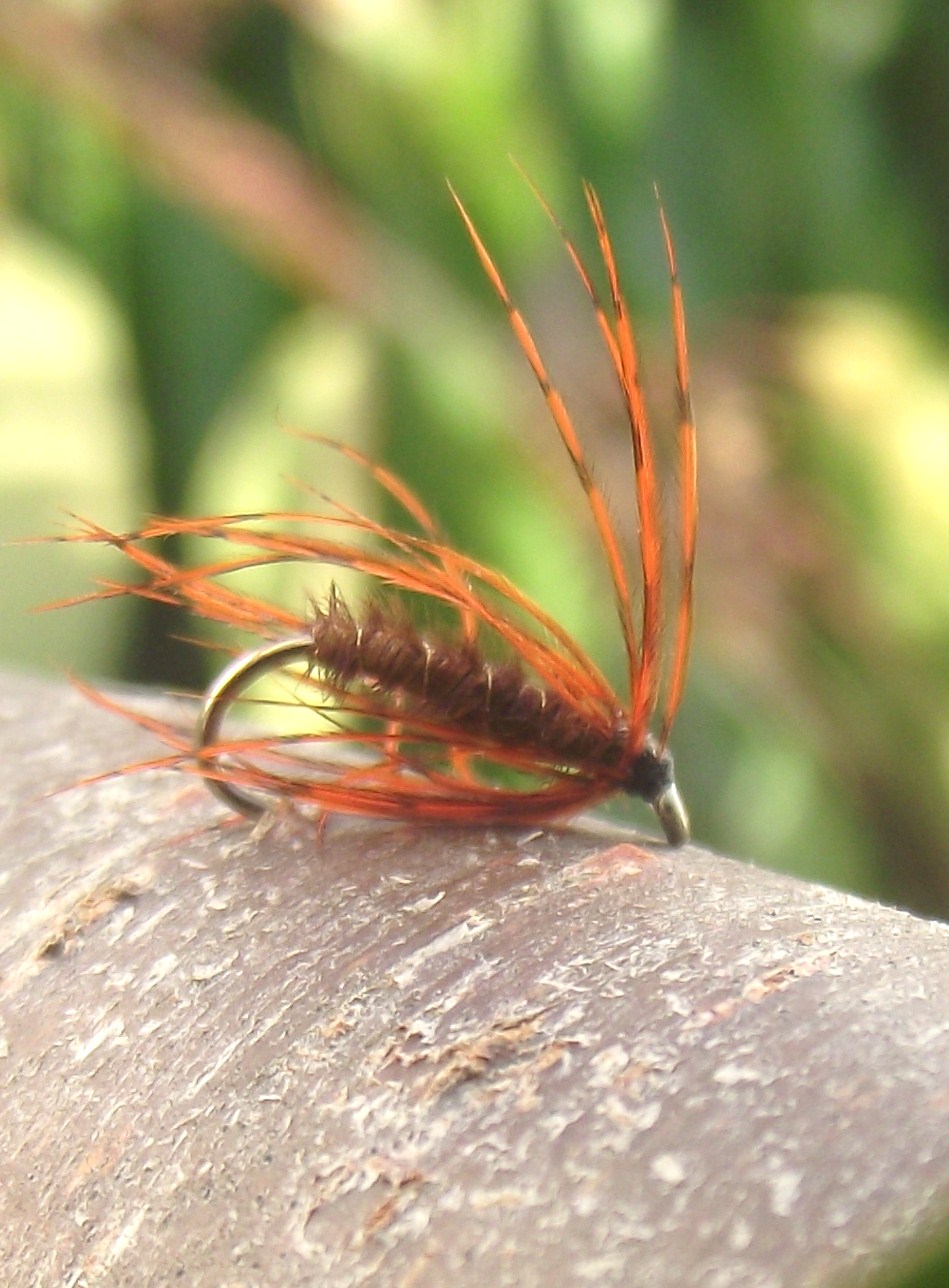 Piscari-Fly : Wet Flies and Spiders