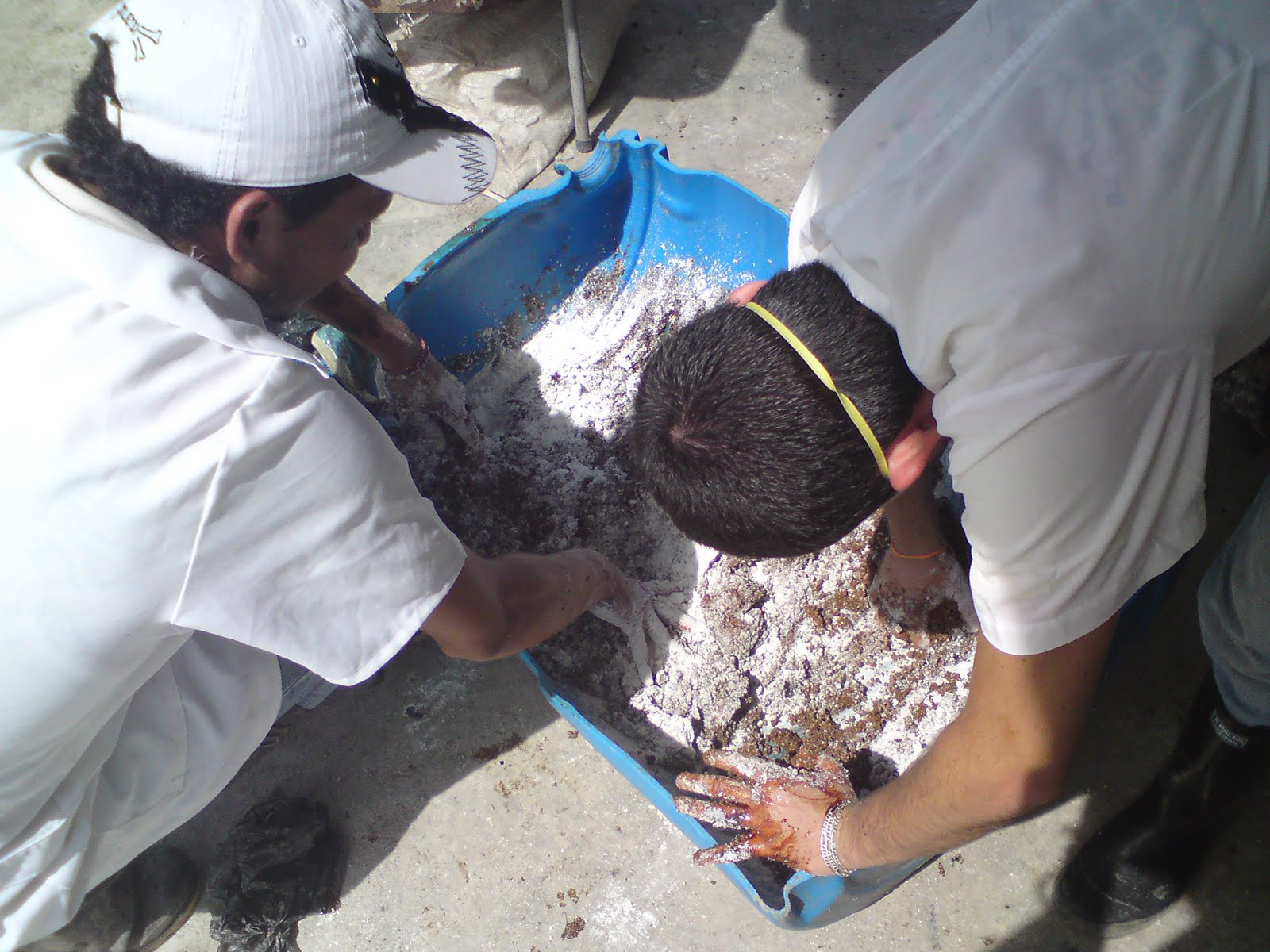 BLOQUES MULTINUTRICIONAL: PRACTICA SOBRE BLOQUES MULTINUTRICIONALES