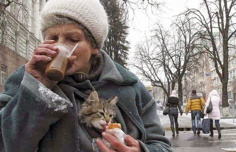 Ersilio Gallimberti: Il piccolo paniere Istat del crack finanziario.