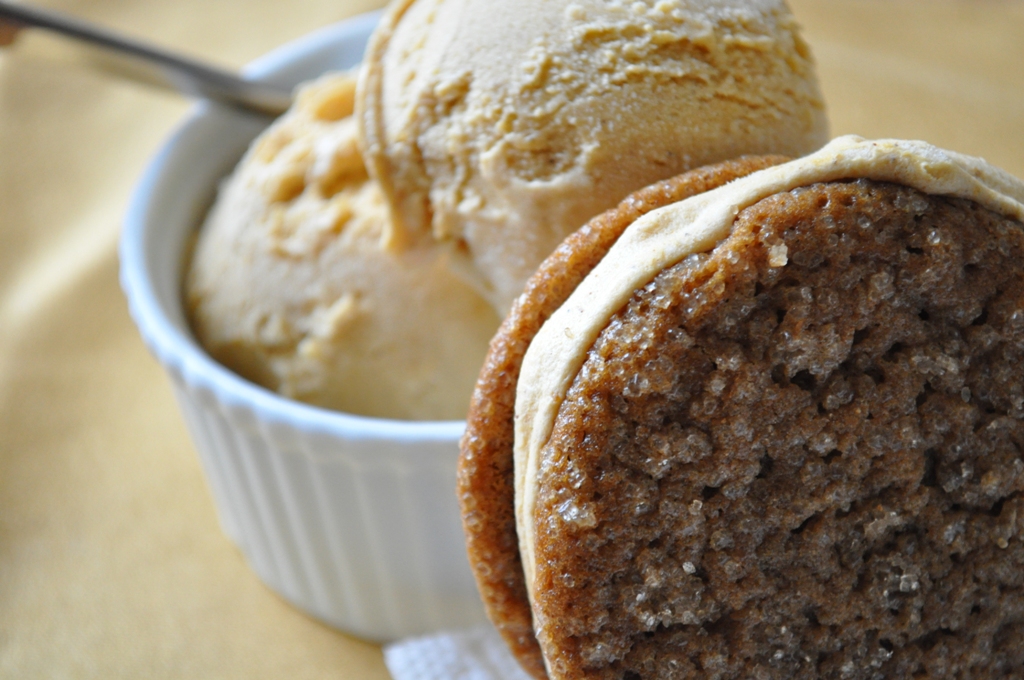 The Ginger Snap Girl: Pumpkin Ice Cream