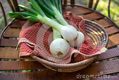 Dikas na Cozinha: Tipos de Cebolas