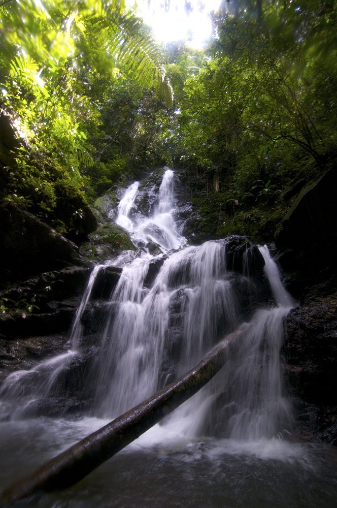 Nina`s Blog: Betung Kerihun National Park Of Kapuas Hulu Regency West ...