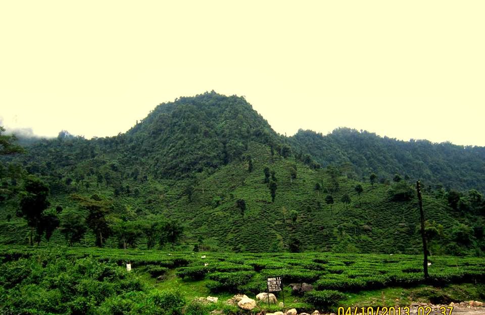 GORUBATHAN Village Tourism: Historical Place Dalim Fort
