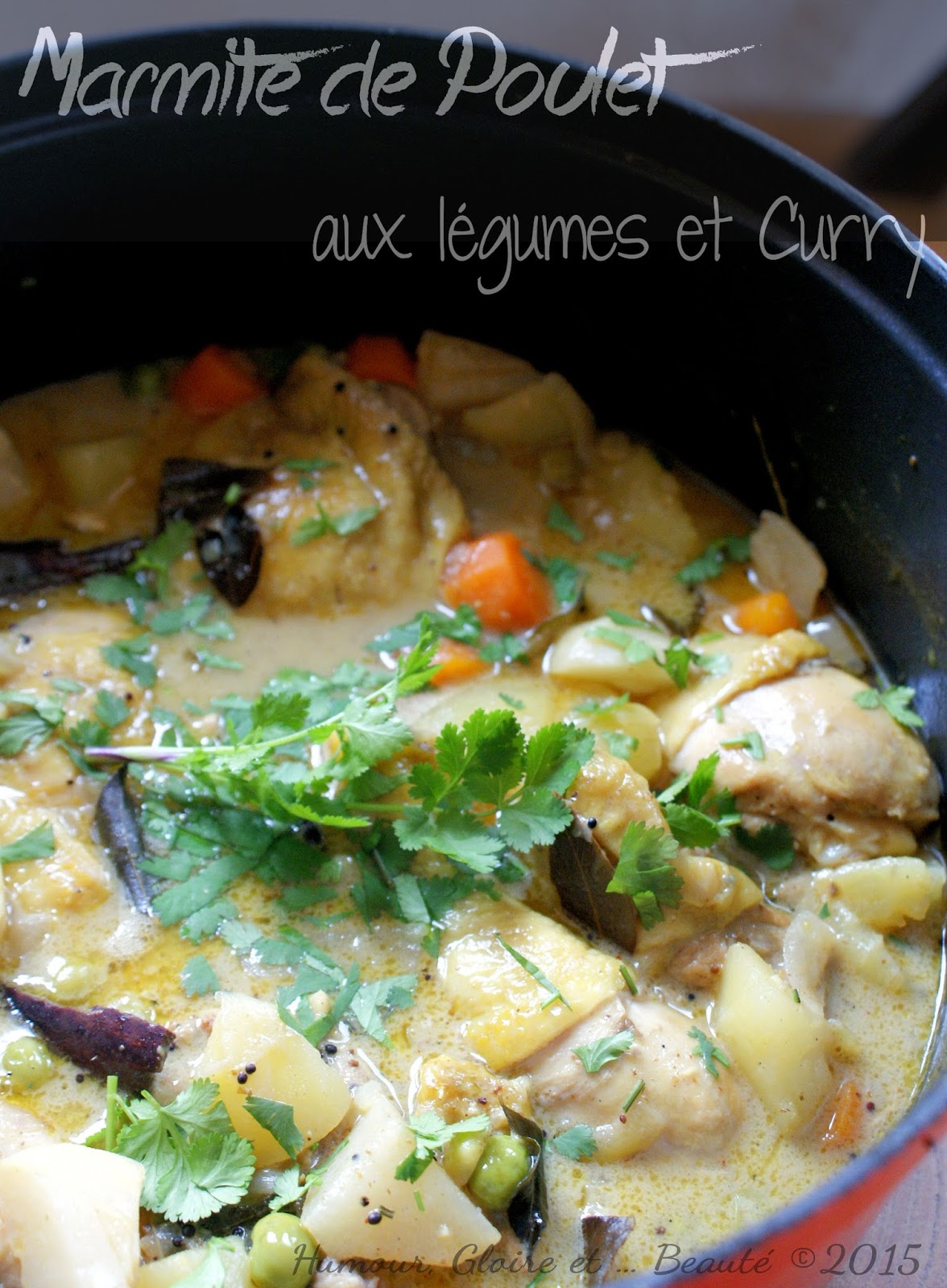 HGB: Marmite de curry de poulet aux légumes (Inde)