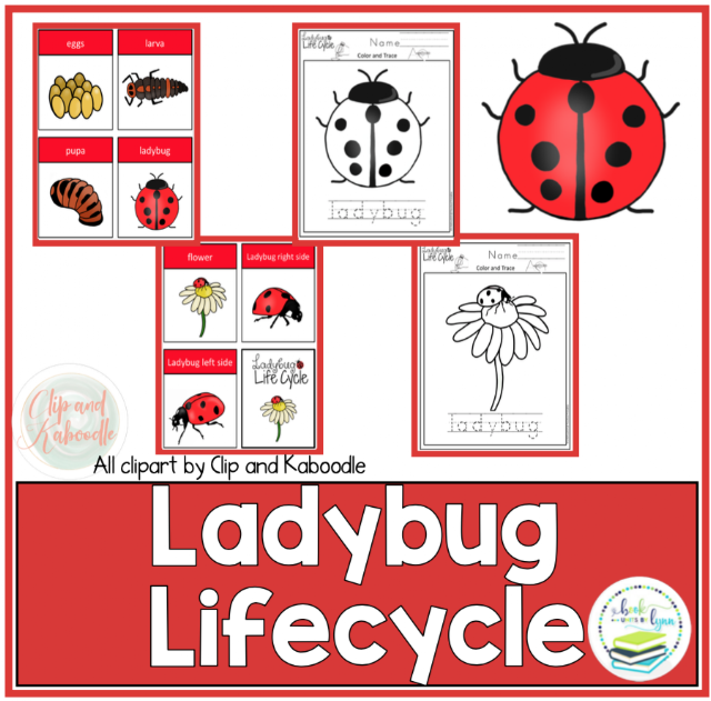 FREE PRODUCT LADYBUG LIFECYCLE ~ Book Units by Lynn