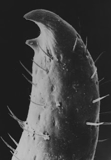 BunyipCo: October 2012