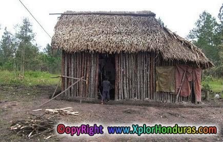 Los Pech y los Tawahkas, su ubicacion y problema social: Los Pech y Los ...